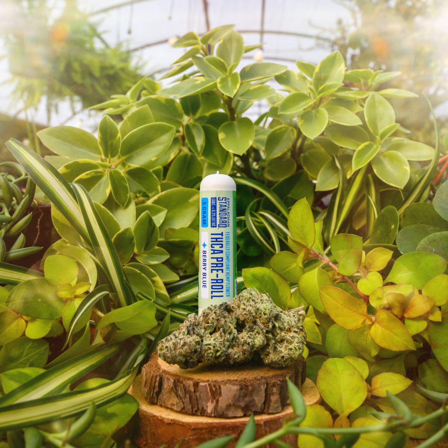 Berry Blue THCA Preroll - THCA by Appalachian Standard Berry Blue THCA Preroll - THCA by Appalachian Standard